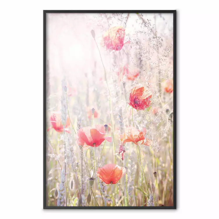 Poster Zomerweide - kleurrijke compositie met rode klaprozen tussen ...