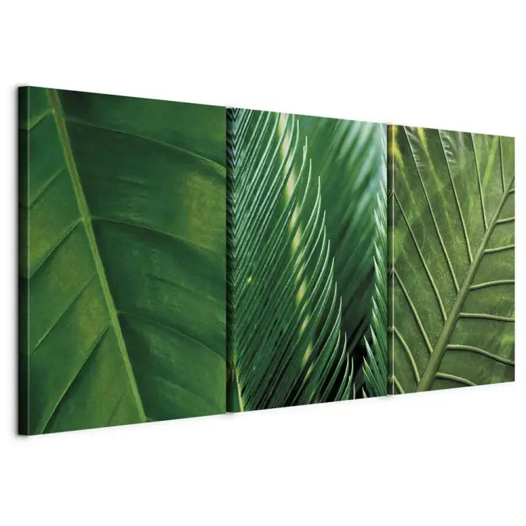 Schilderij Bladeren (collectie)- Bladeren - bimago