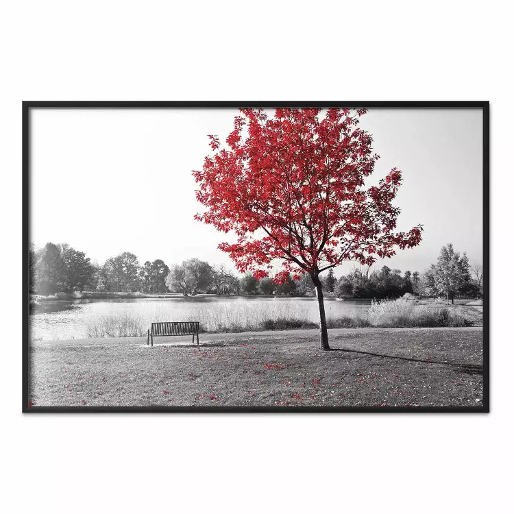 Poster Boom met rode bladeren - zwart-wit landschap van een meer in het ...