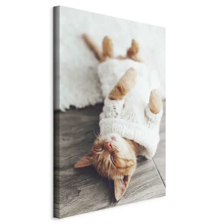 Schilderij Luie kat verticaal- Katten - bimago