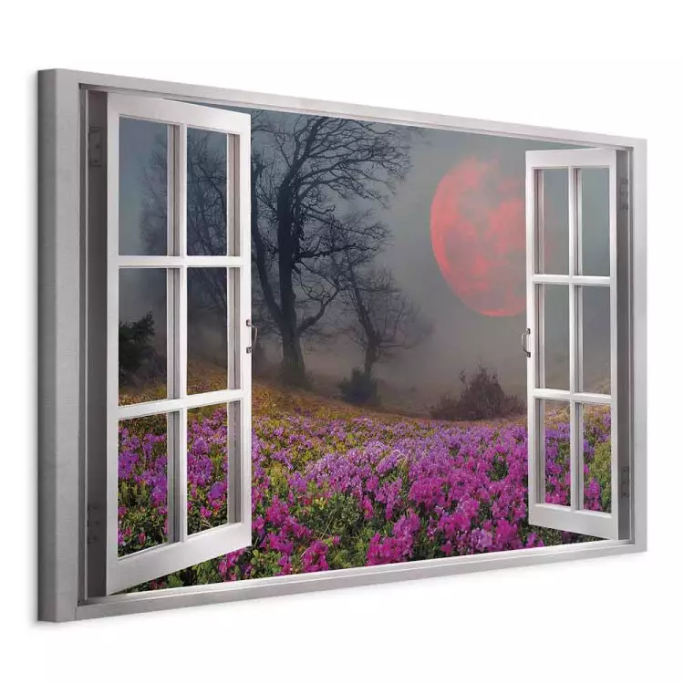 Schilderij Rode planeet breed- Landschappen - bimago