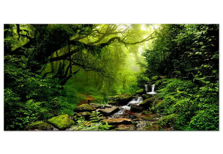 Groot schilderij Betoverd woud II - bergboslandschap met beekje en ...