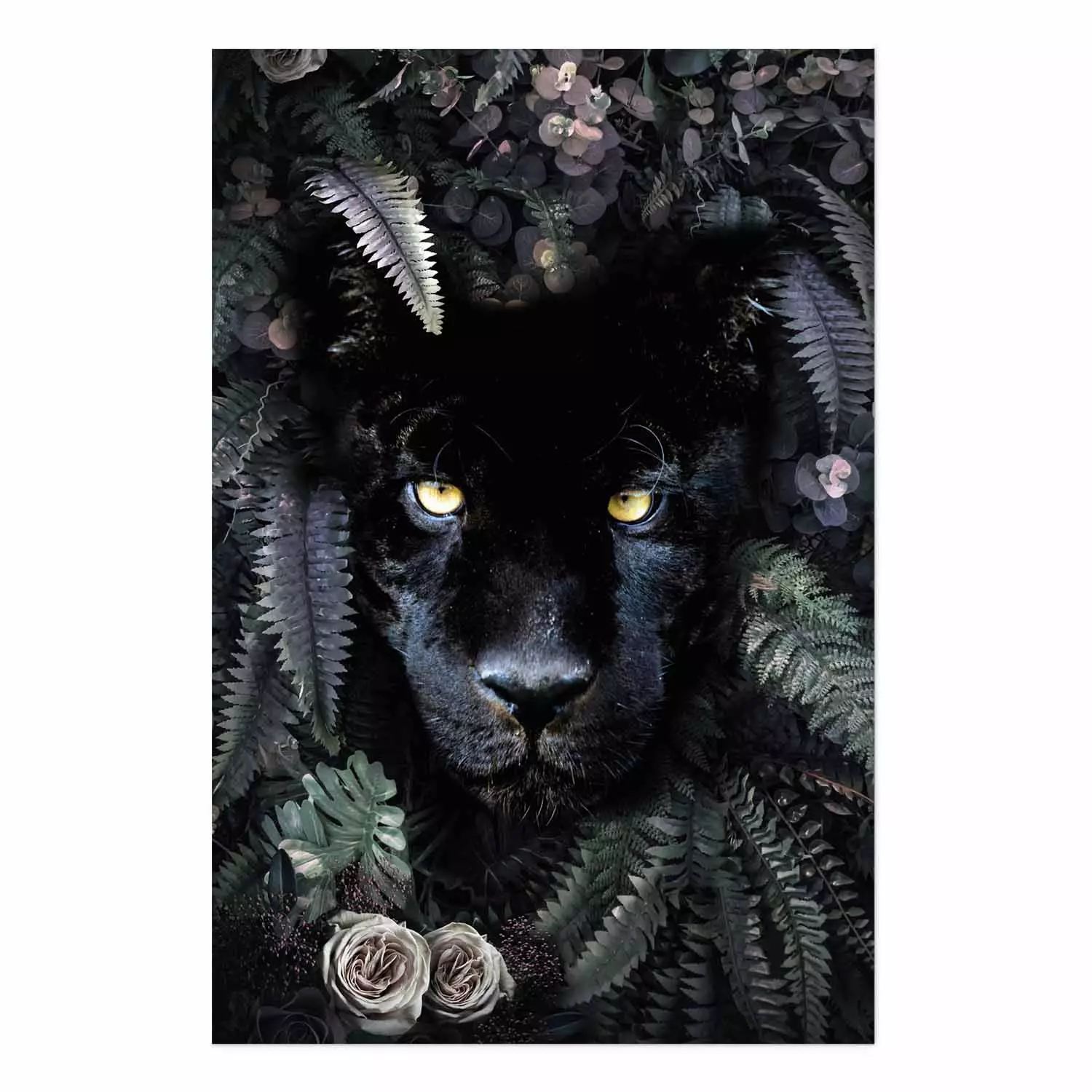 Zwarte Panter Poster