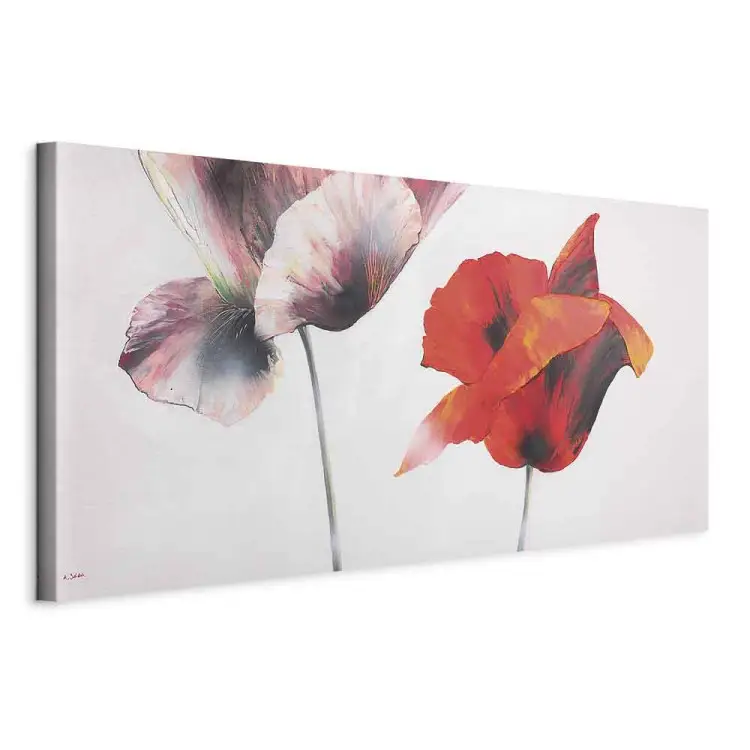 Schilderij Schaduw van een witte en rode klaproos - bloemenmotief in ...