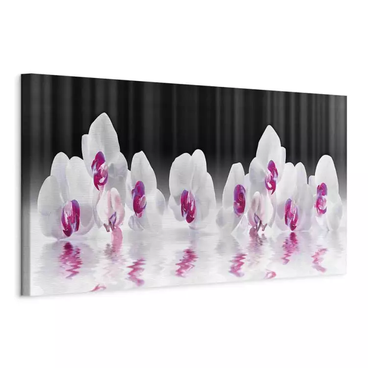 Schilderij Orchids In Water- Orchideeën - bimago