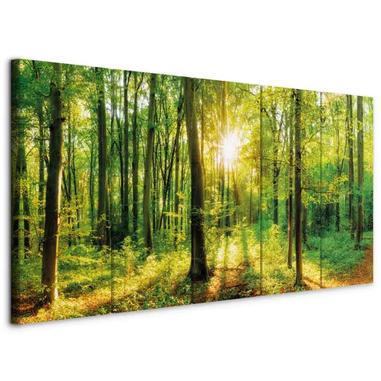 Schilderij Magisch bos- Bos - bimago